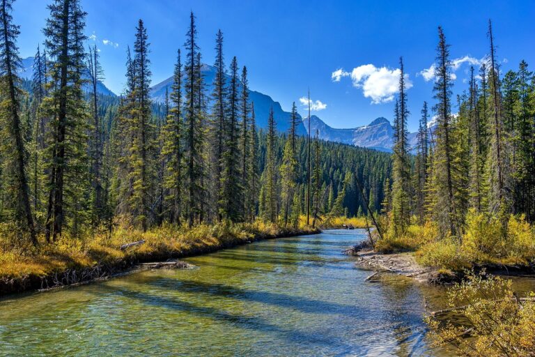 Canada's Best National Parks for Family Vacations